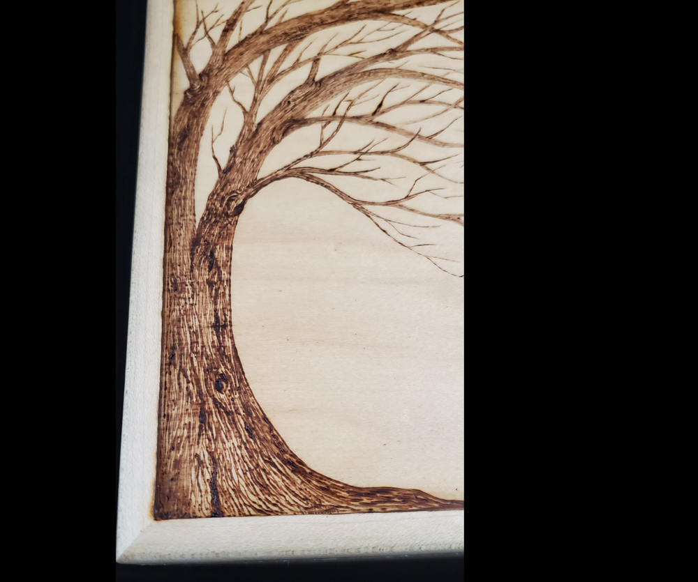 Maple Wood Tree