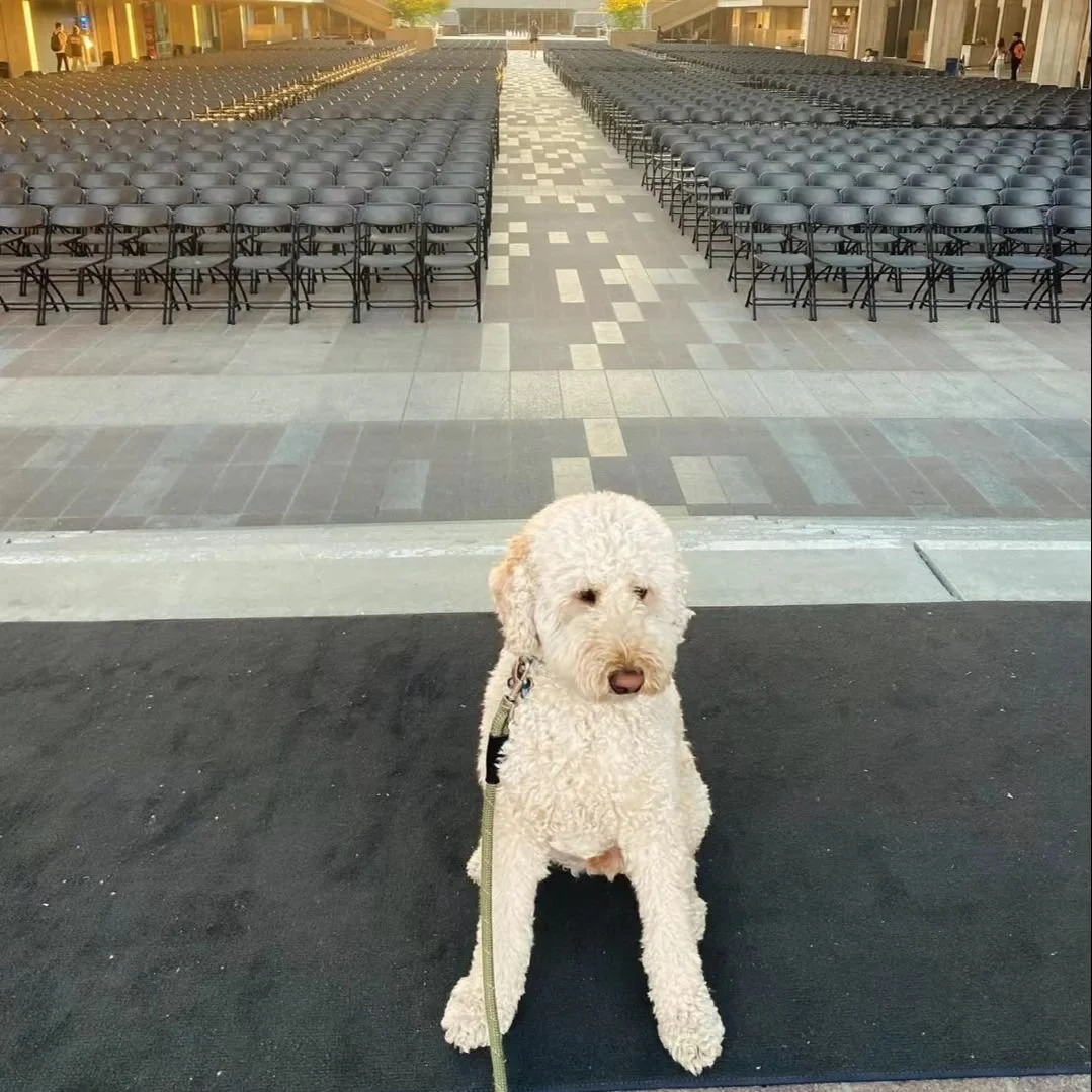 Grass Kennels - Moms & Dads