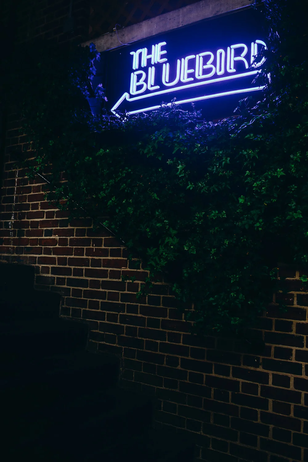 FAQ — The Bluebird