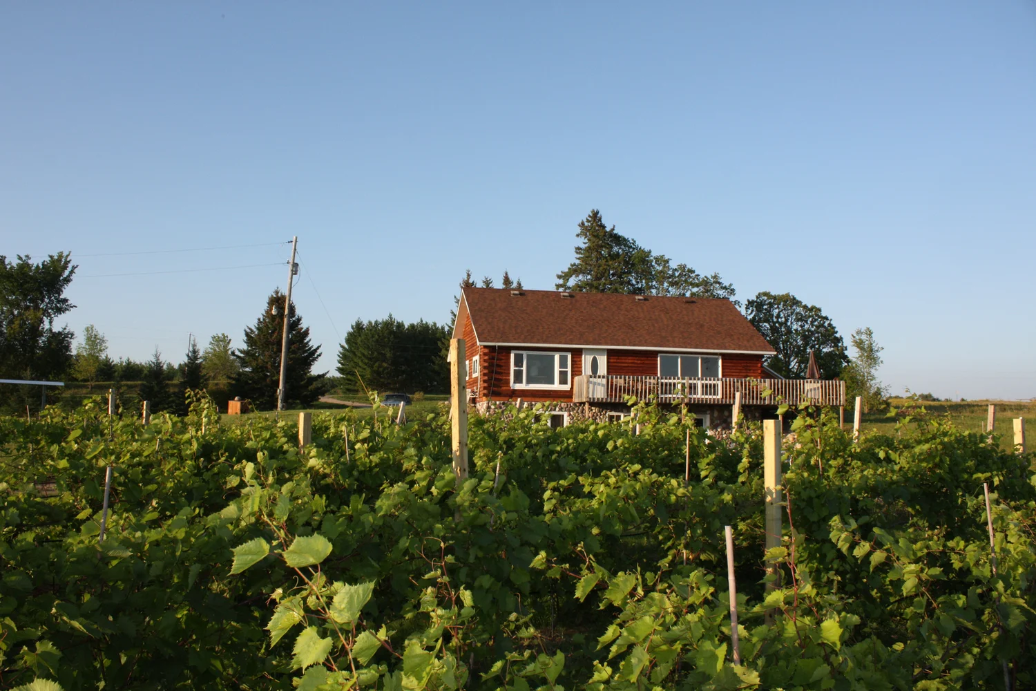 wineries — MN GROWN, MN MADE