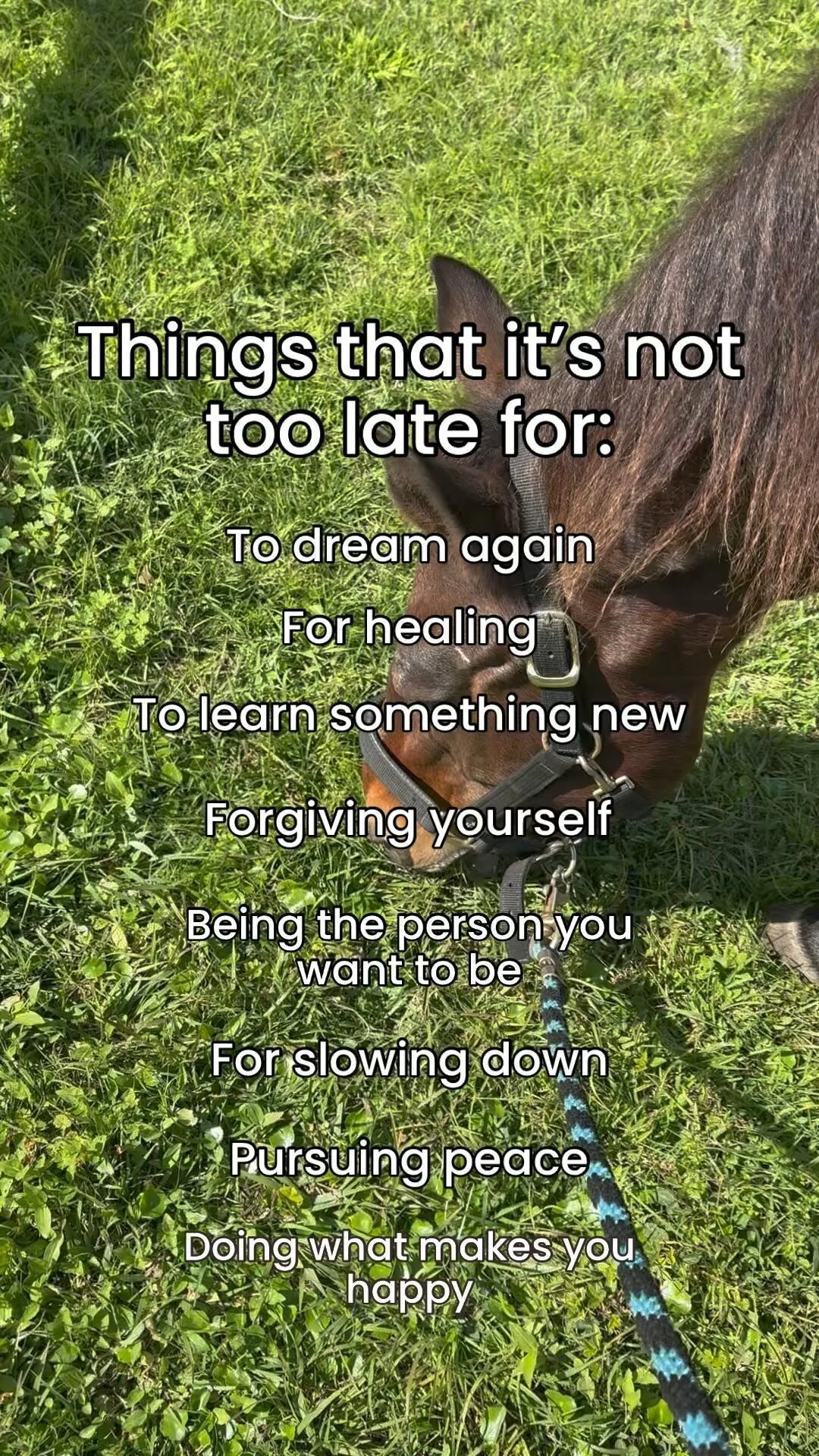 doTERRA MetaPWR Advantage Collagen + NMN — Holistic Spark