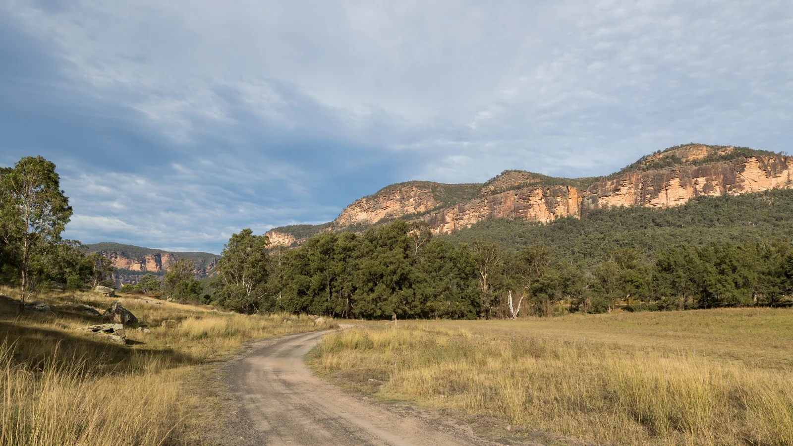 Capertee Valley — FLOCK wildlife - Bird & Wildlife Photography Tours