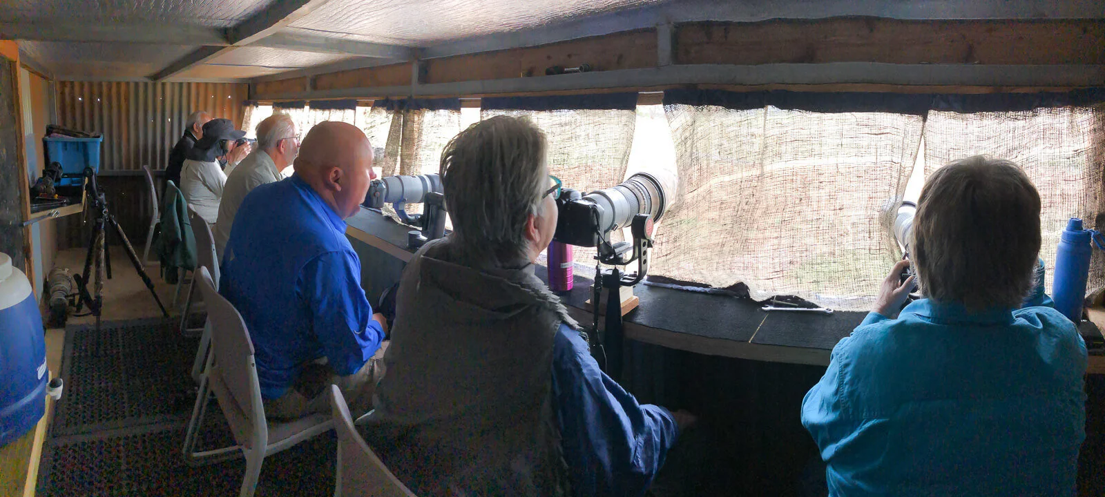 Lachlan Shire - Lake Cargelligo & Condobolin — FLOCK wildlife - Bird ...