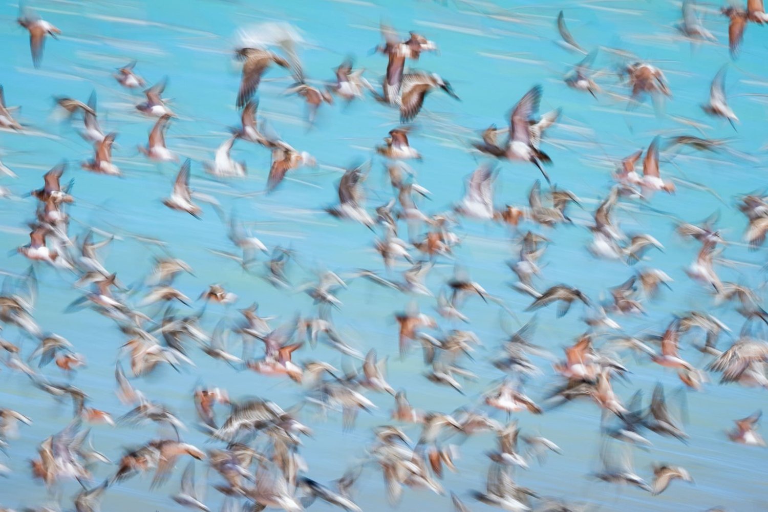 Broome Bird Observatory — FLOCK wildlife - Bird & Wildlife Photography ...