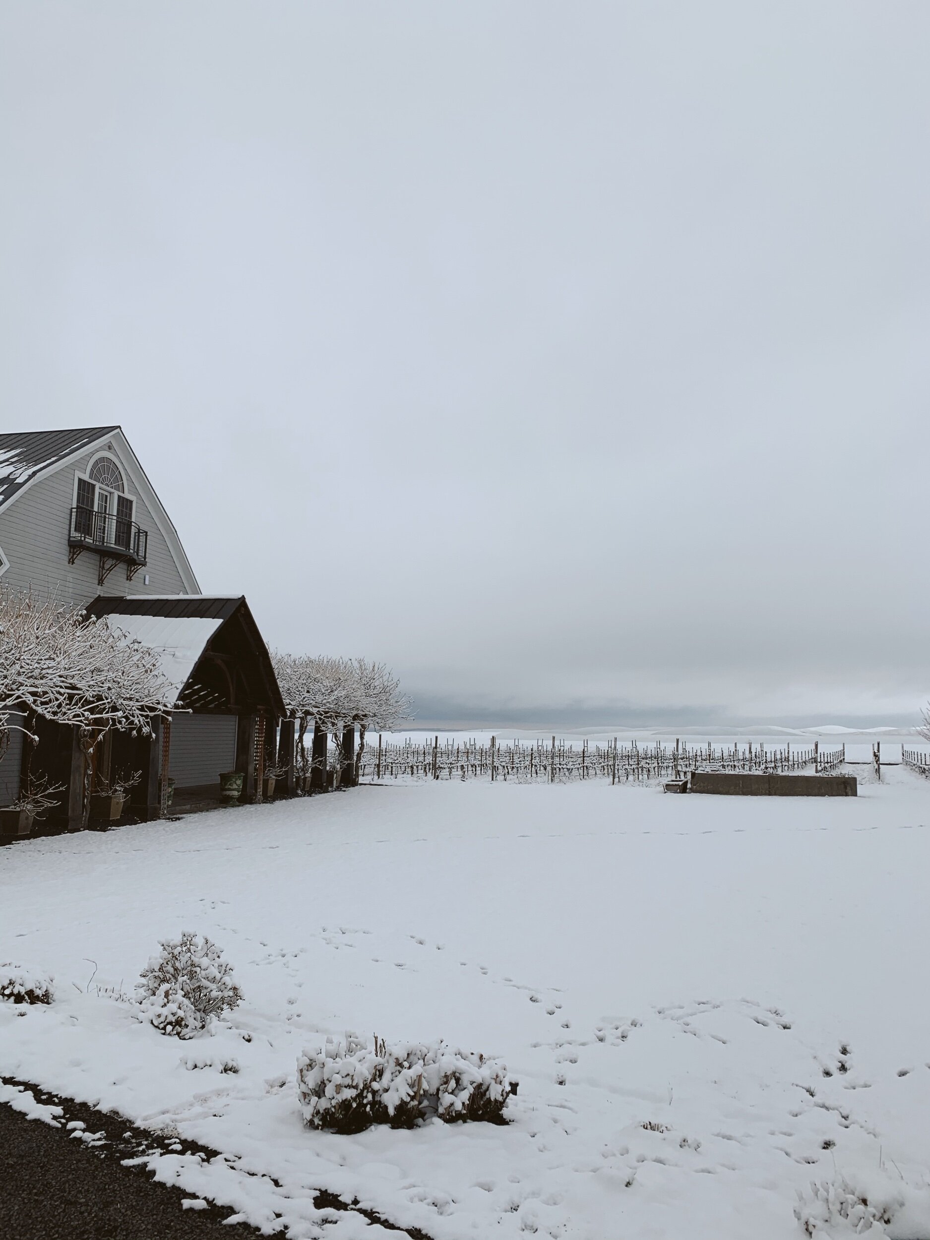 The First Timers' Guide to Walla Walla: The Crown Jewel of Washington ...
