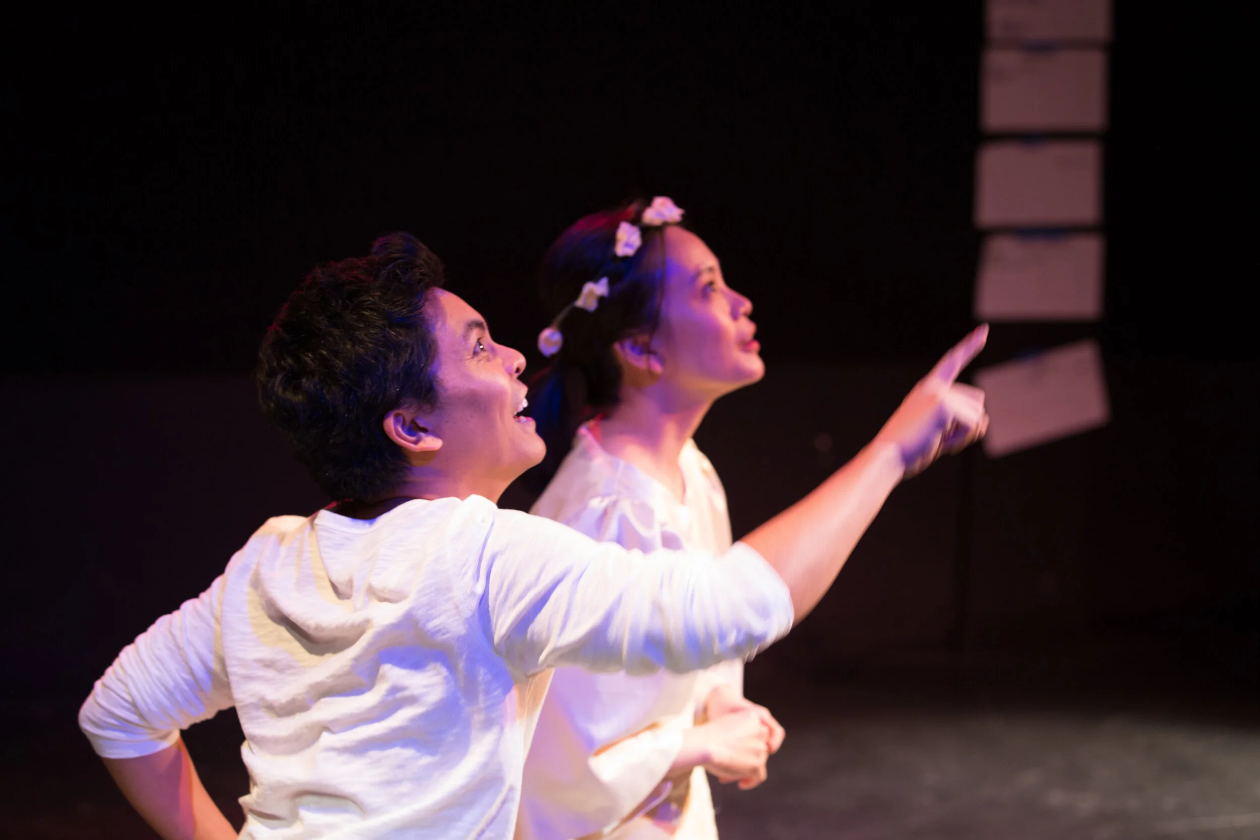 Bindlestiff 30 - Media Kit — bindlestiff studio