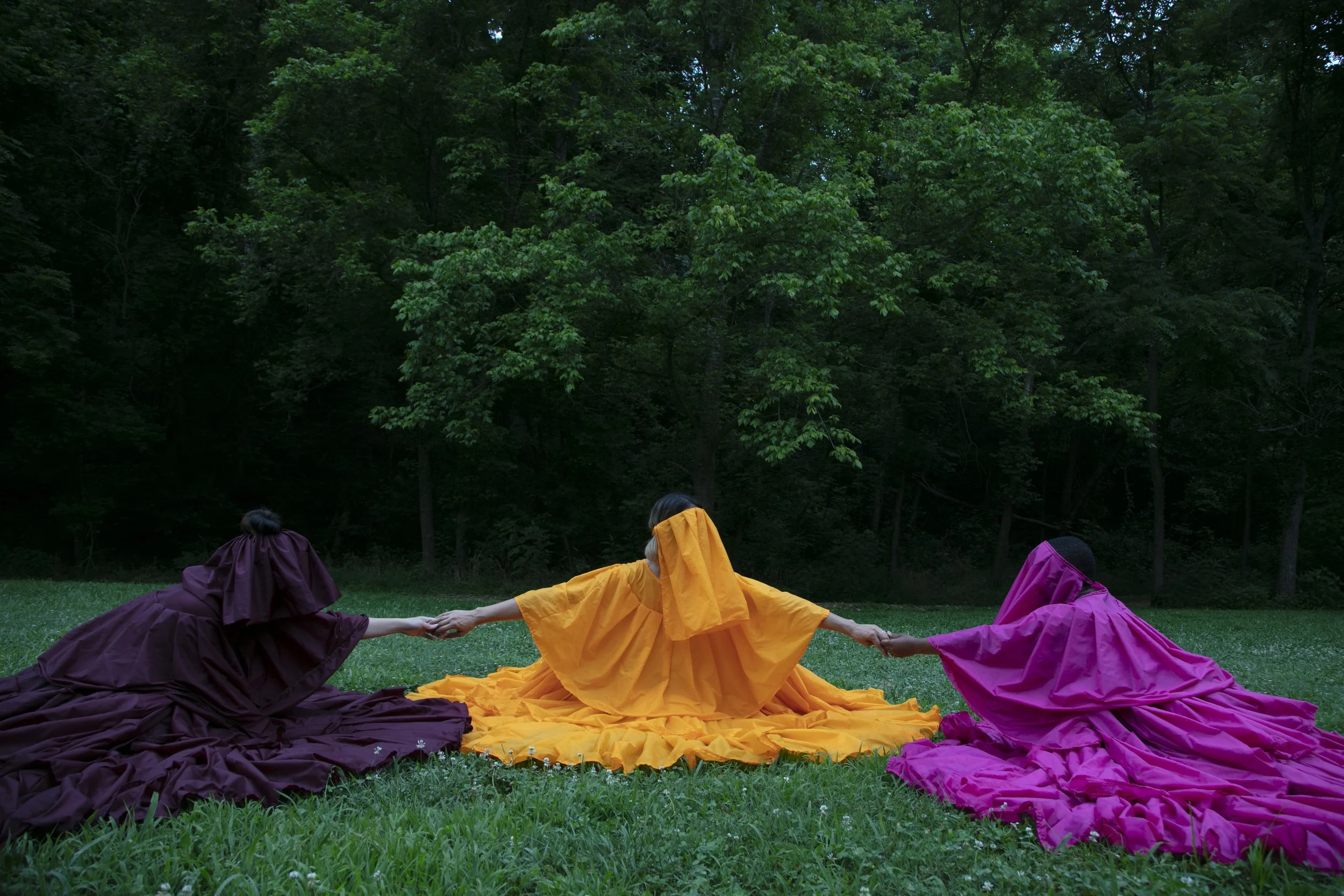 The Understory — Danielle Hatch