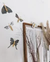 Easy Moth Craft for Kids: A Fun Paper Craft With Little to No Mess ...