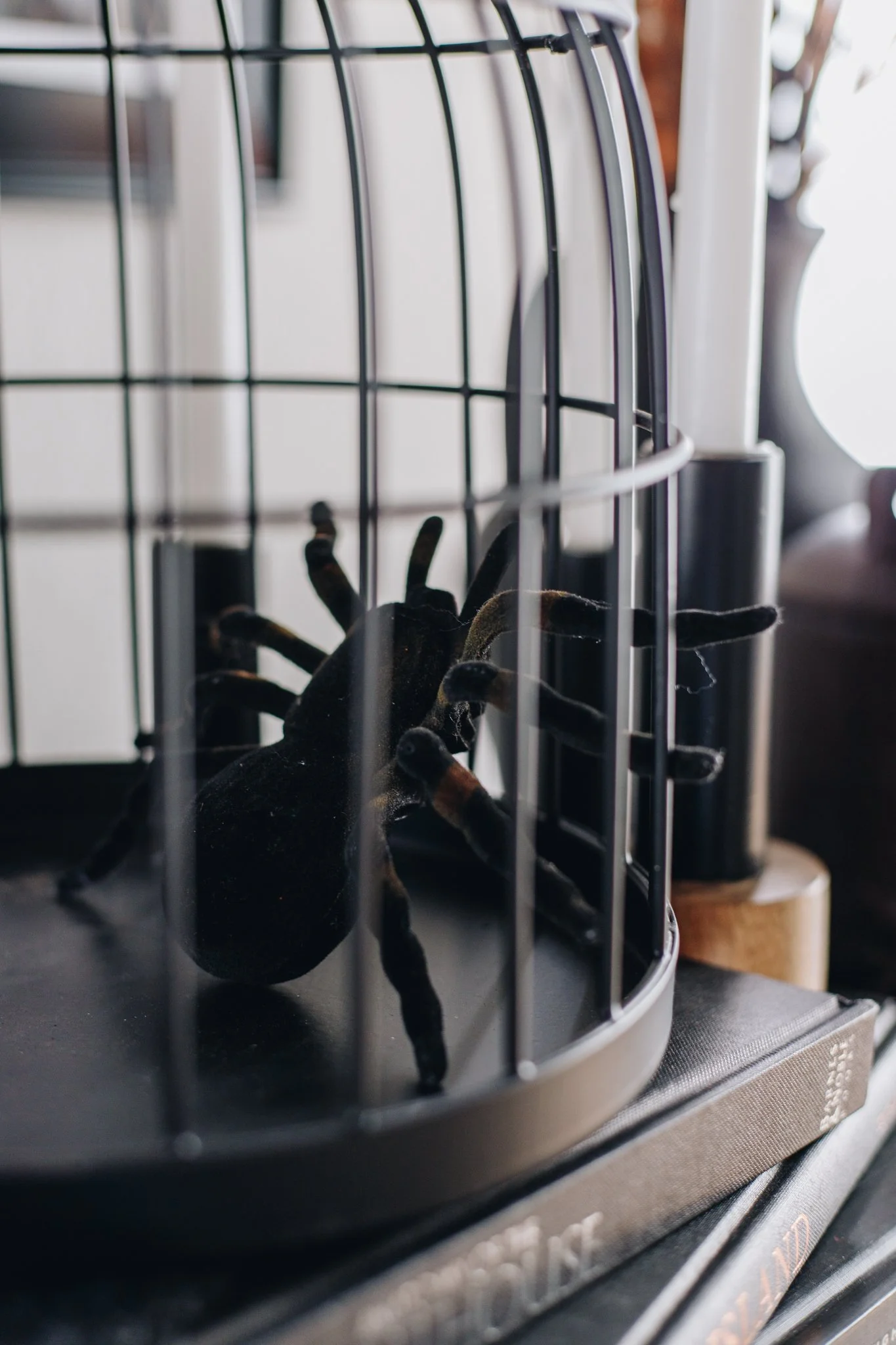 How to Decorate Your Home for Halloween This Year in 3 Different Styles ...