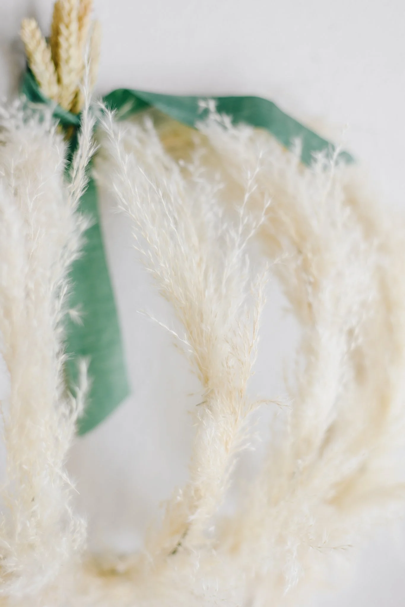 How to Craft a Festive Pampas Grass Pumpkin Wreath for Fall — Bindle ...