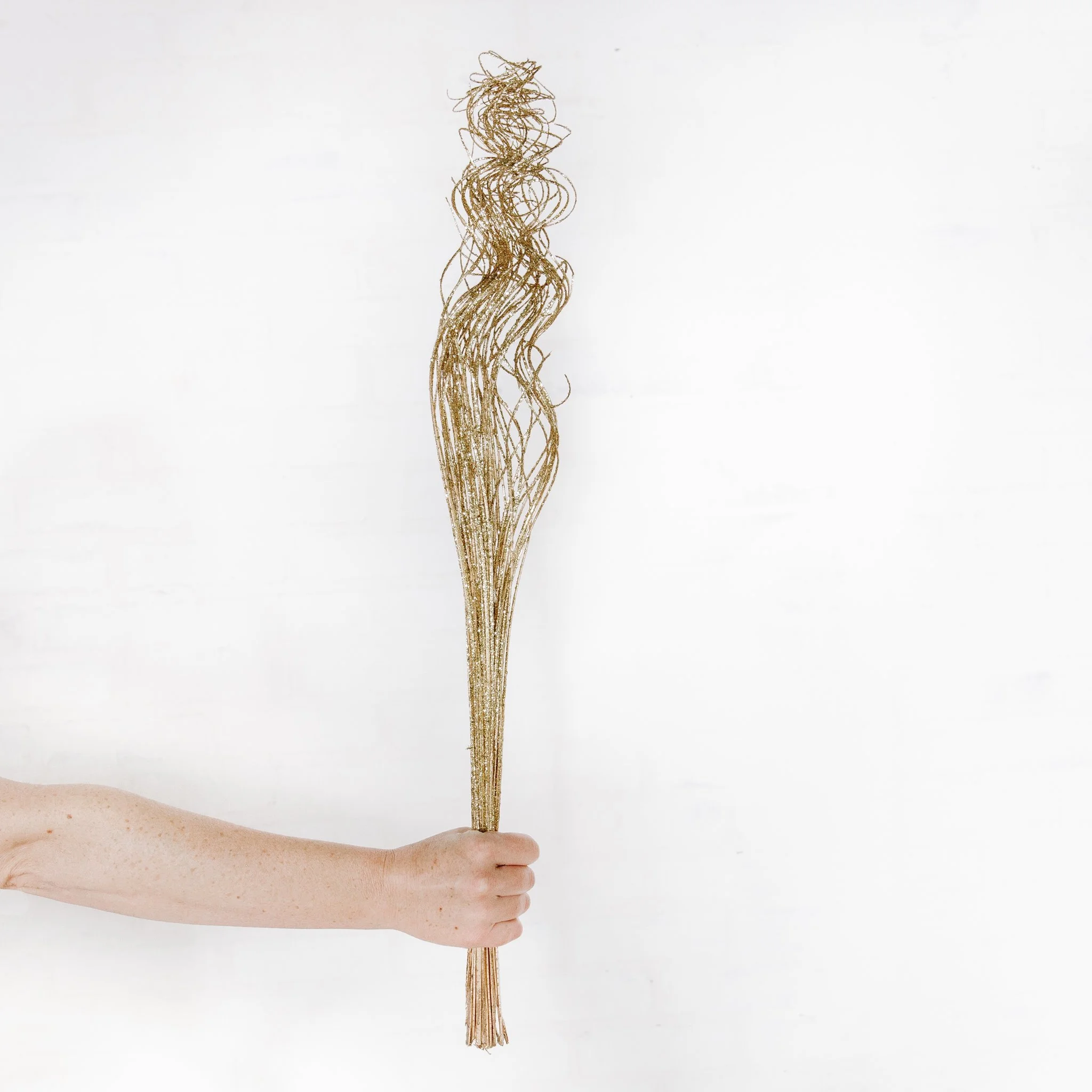 Dried Naturals Collection — Bindle & Brass Trading Company