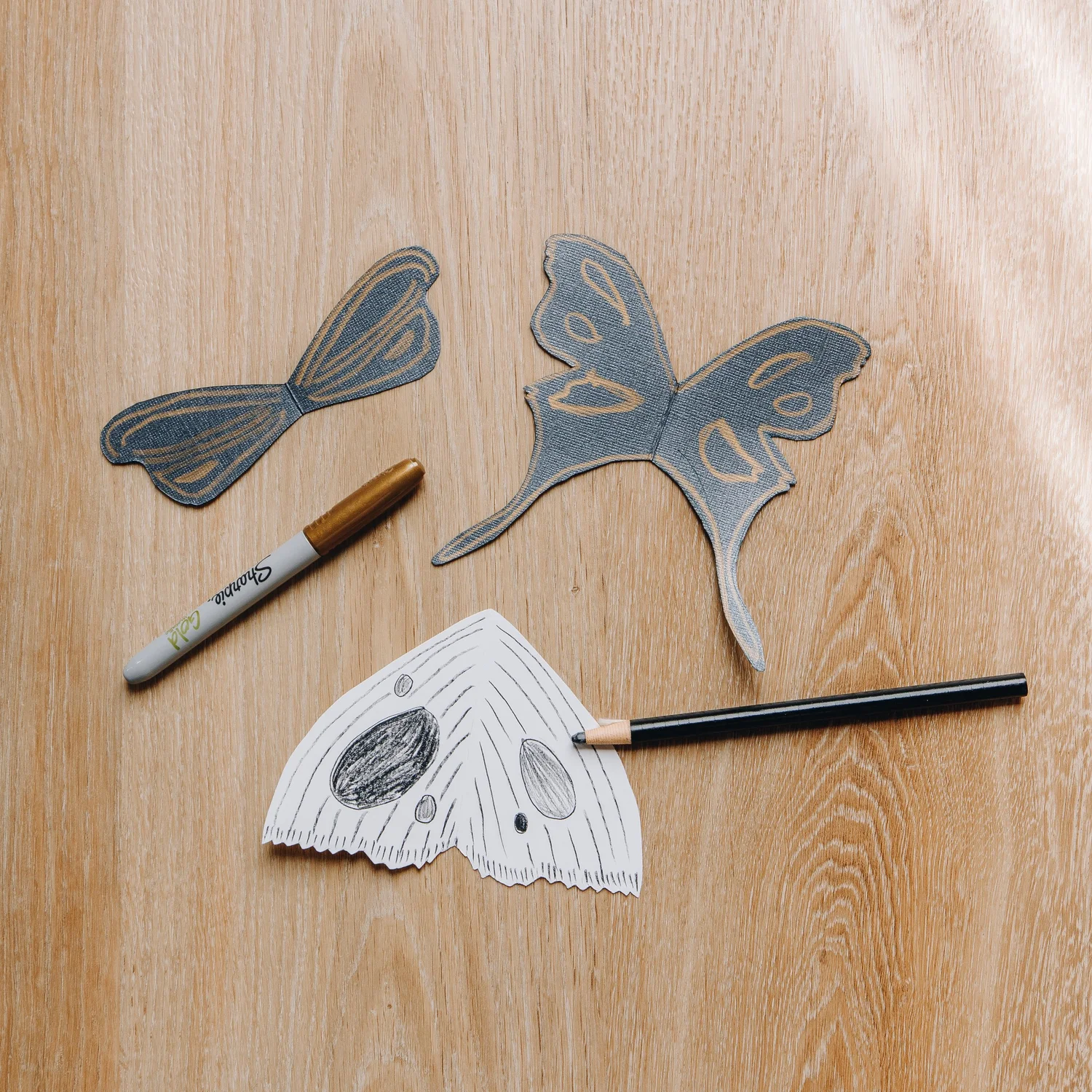 Easy Moth Craft for Kids: A Fun Paper Craft With Little to No Mess ...
