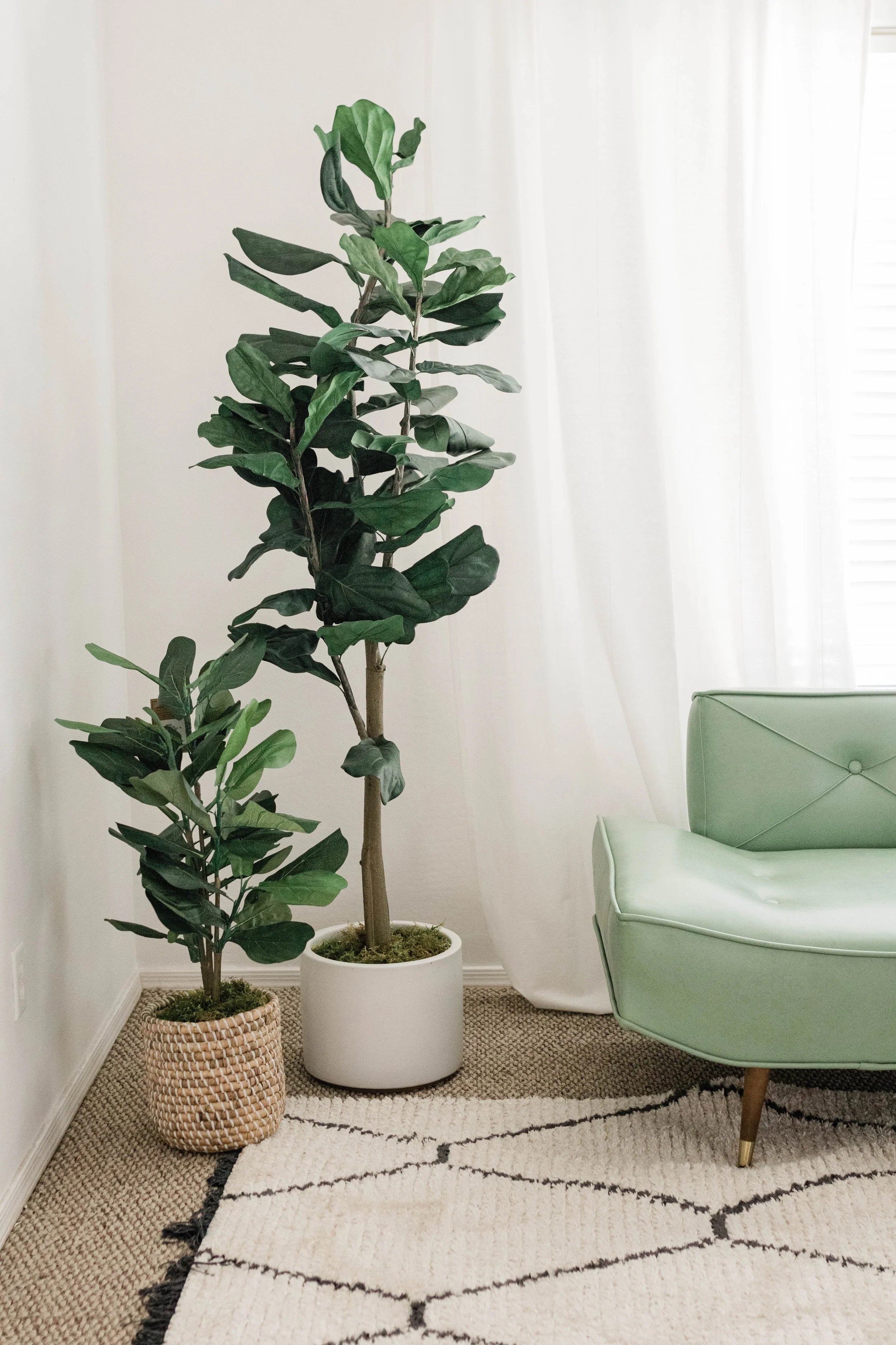 Jonathan + Jenna Show Us Their Favorite Faux Plant Finds and How to ...