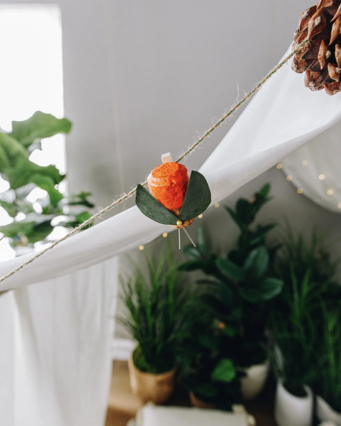 Enchanted Sleep Out & Bug Hunt For A Father's Day to Remember — Bindle ...
