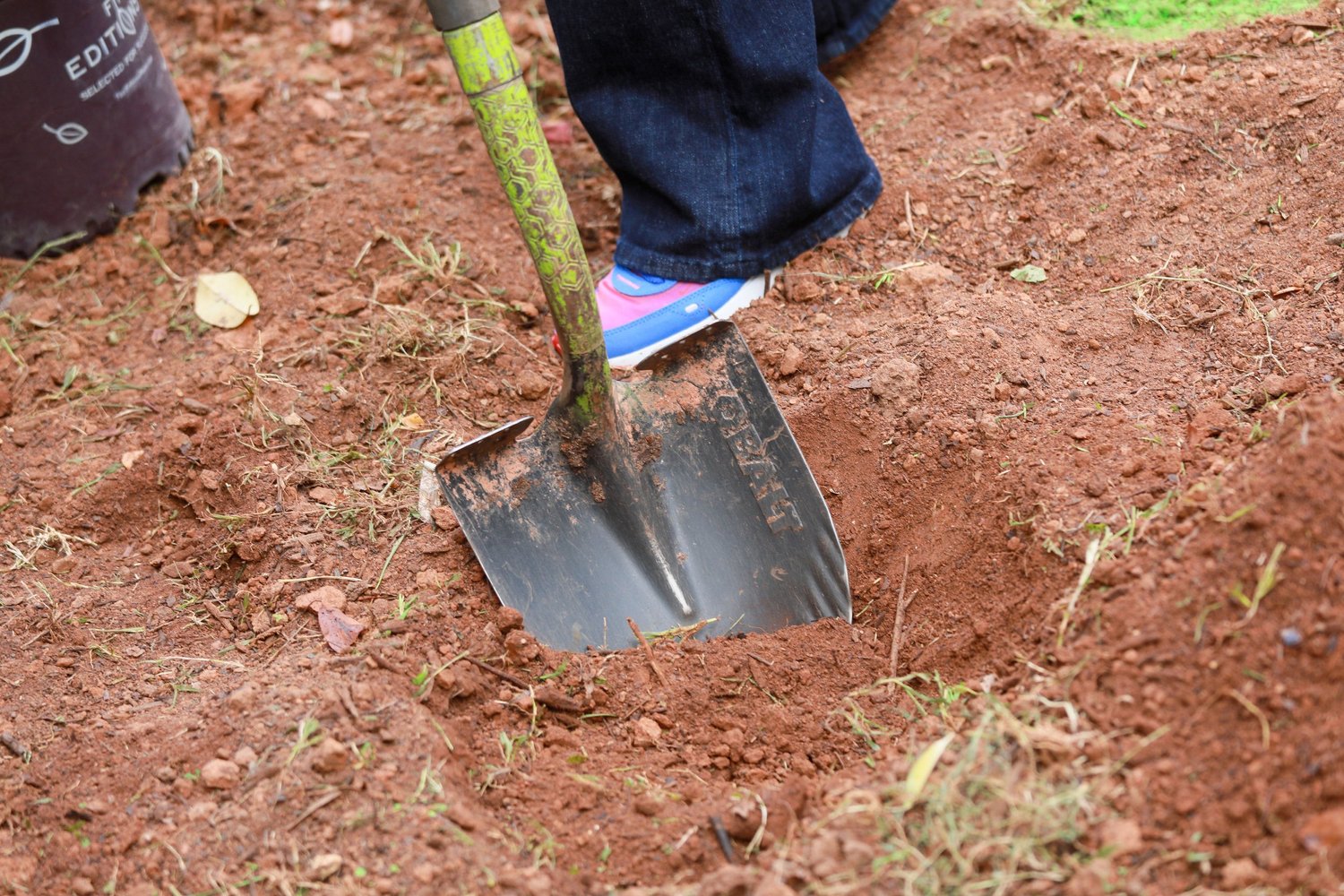 Community Impact: Tom Hunter Park — Rebuilding Together of Greater ...