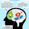 When Kids Hit, Kick, and Bite in the Classroom — Early Childhood ...