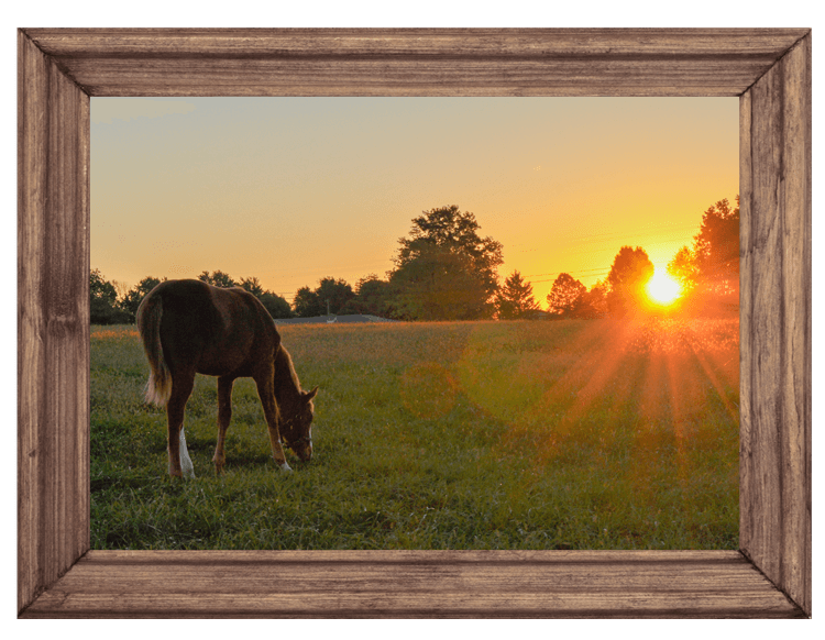 The Farm — Clearbrook Farm