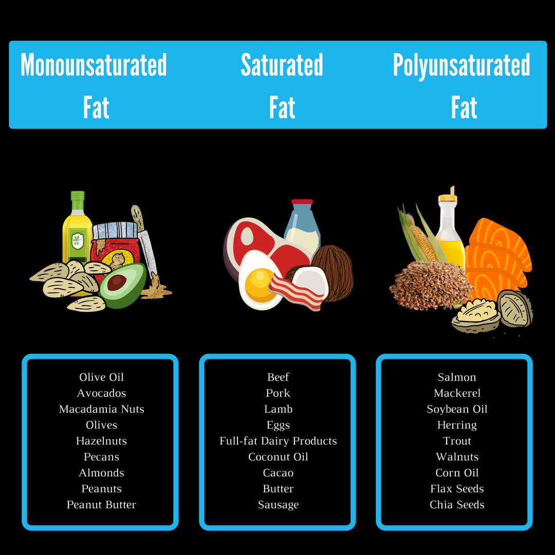 Types Of Fats Explained | Types Of Fat Diet Chart – REMOEQ