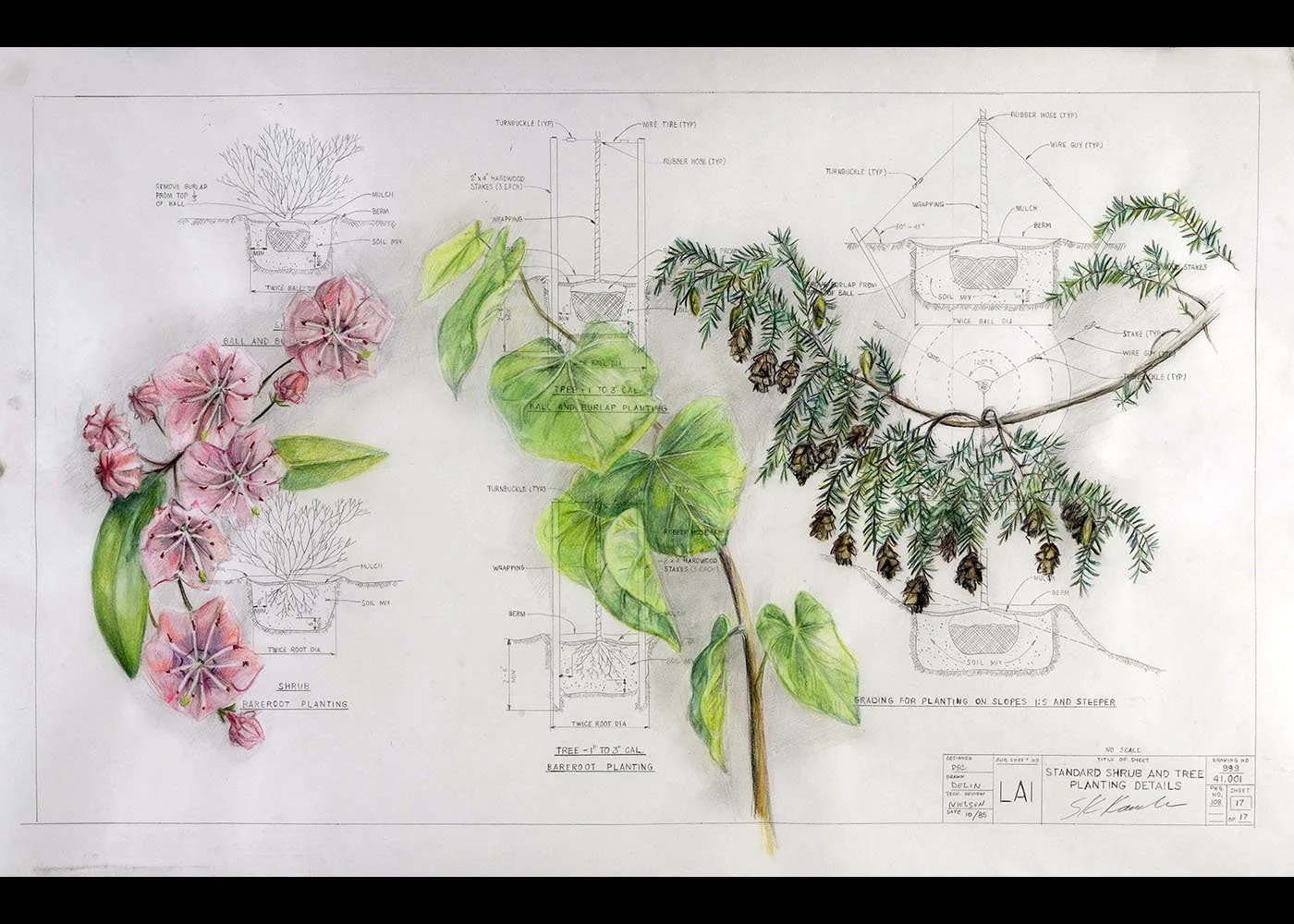 Shenandoah National park — Sandy Kessler Kaminski