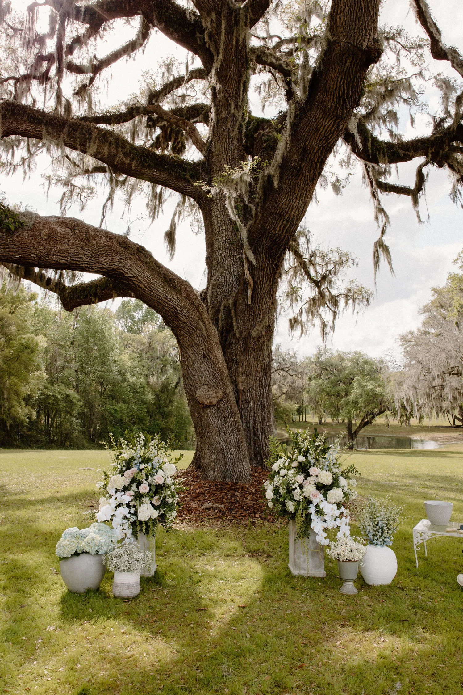 Luxury Floral: A Funky Rustic Wedding at Protea Weddings and Events ...