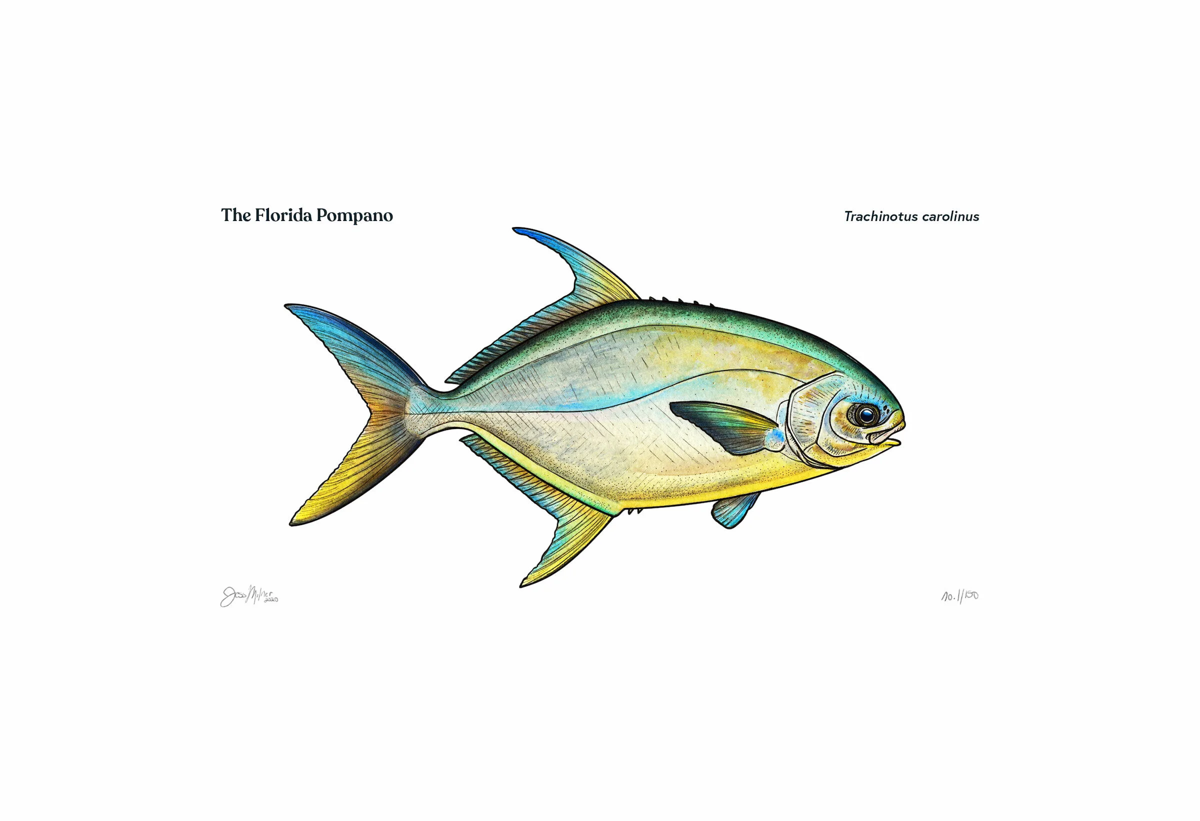 Jess Milner Art & Design Works