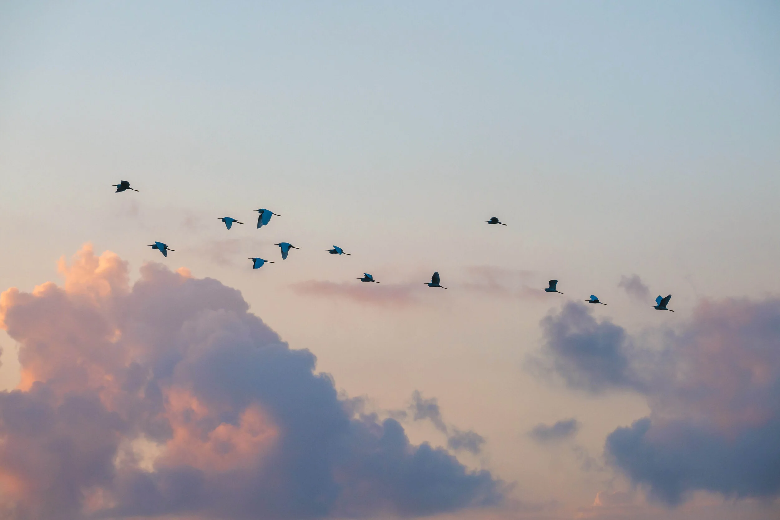 Jess Milner Art & Design Works