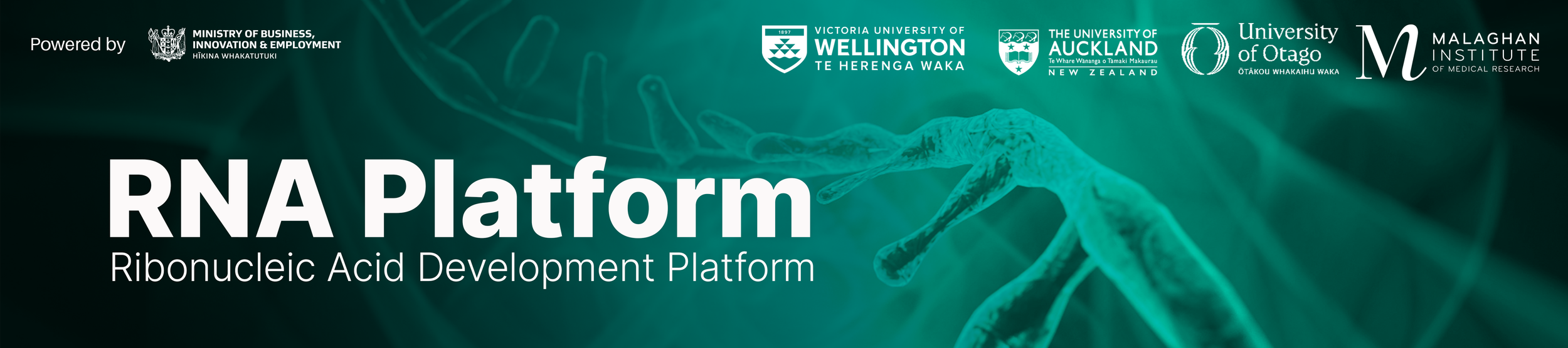 Conference summary — The New Zealand Society for Biochemistry and ...