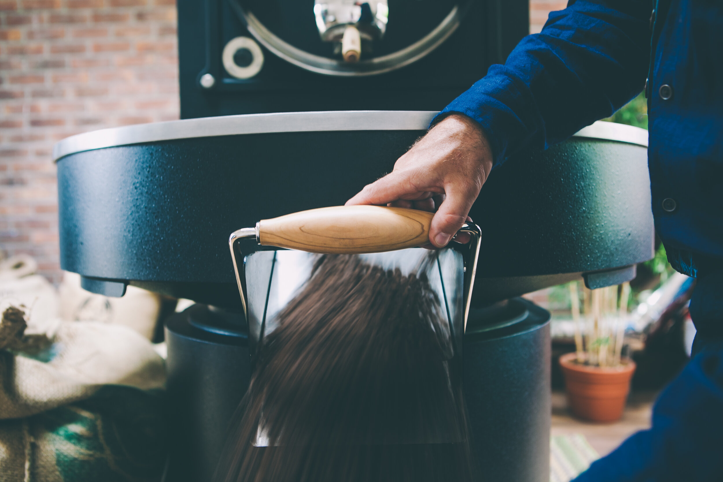 The Studio Coffee Roasters