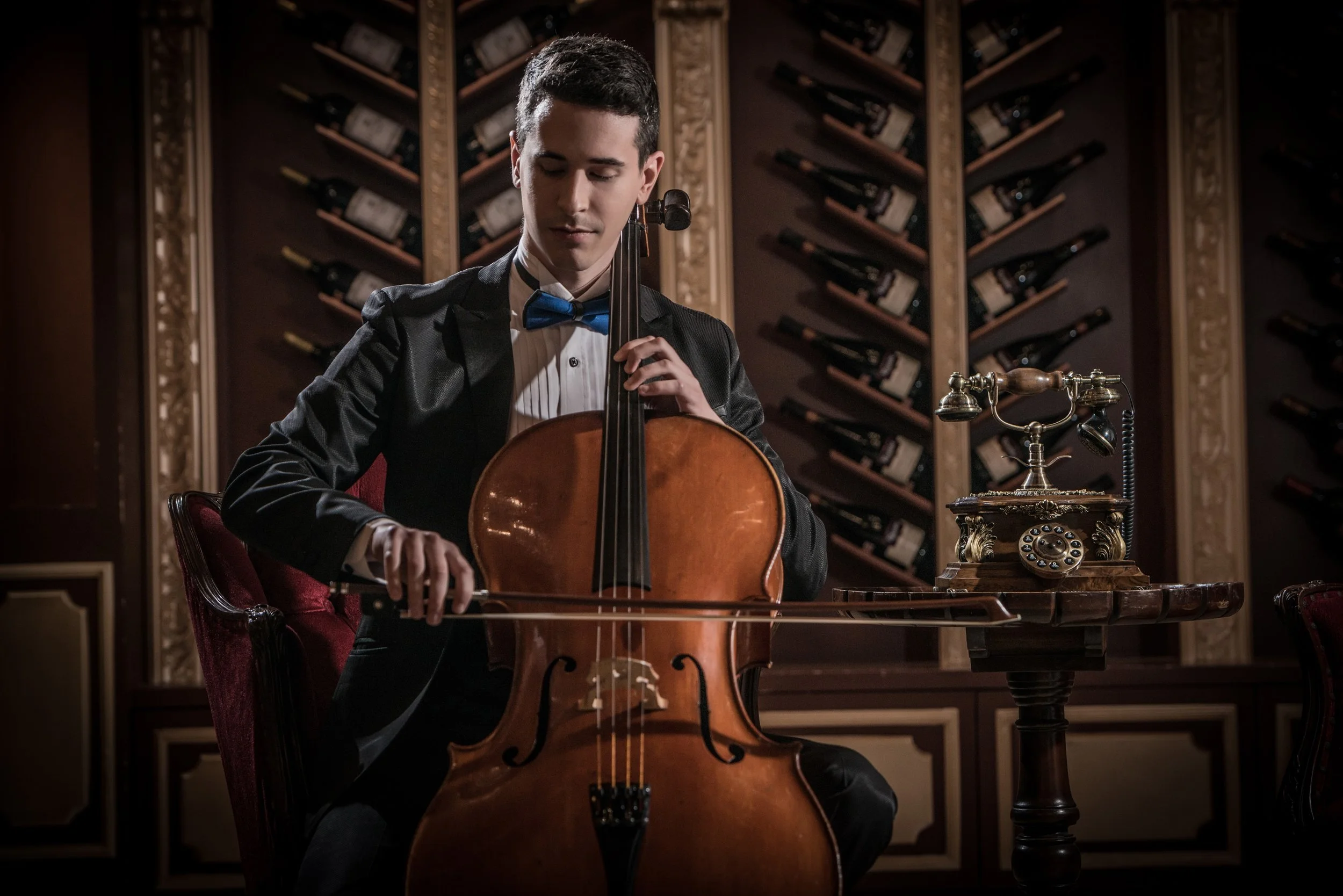 forte piano strings Music Lessons and Performances in Plano, Frisco and ...