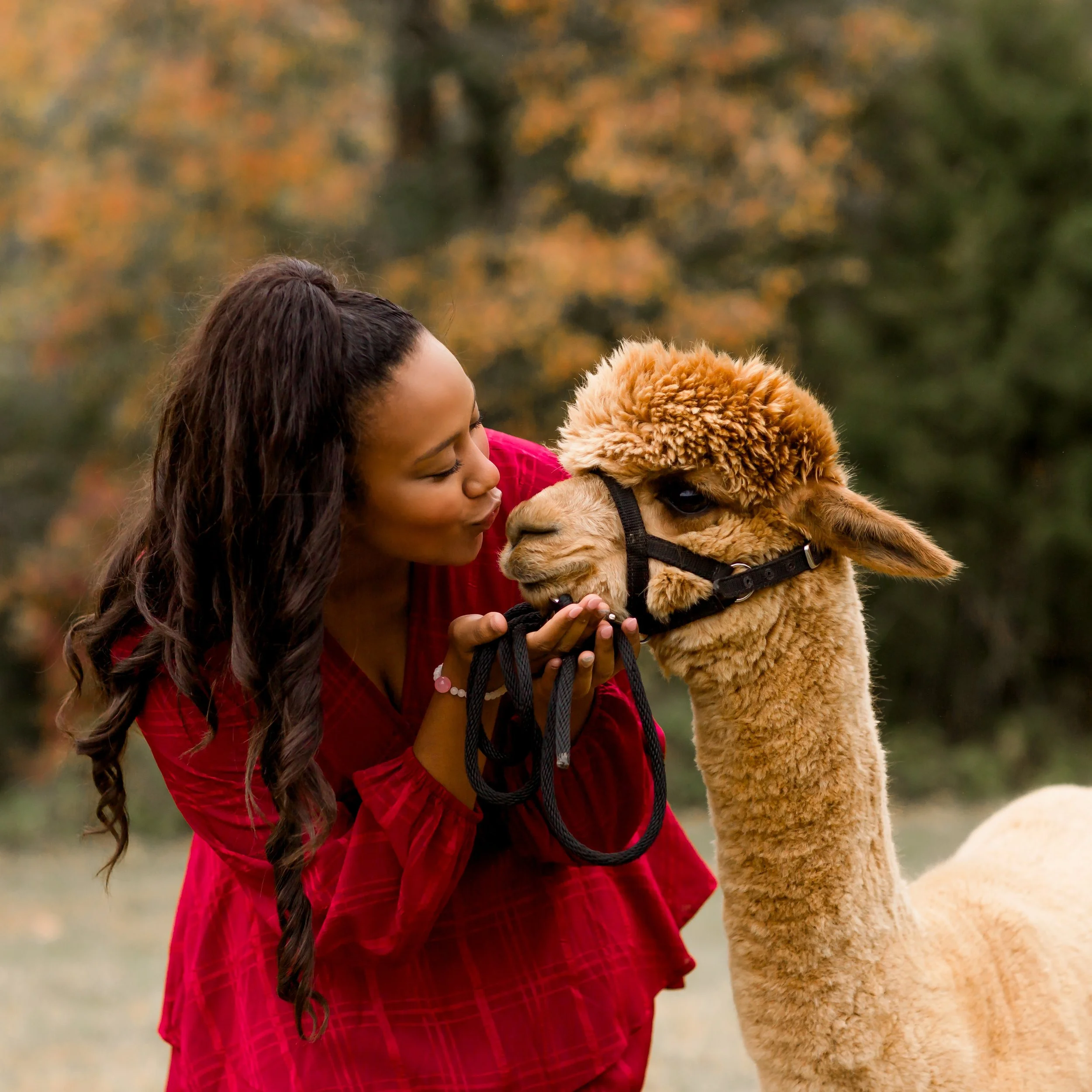 Photography Sessions — Meadowgate™ Alpacas