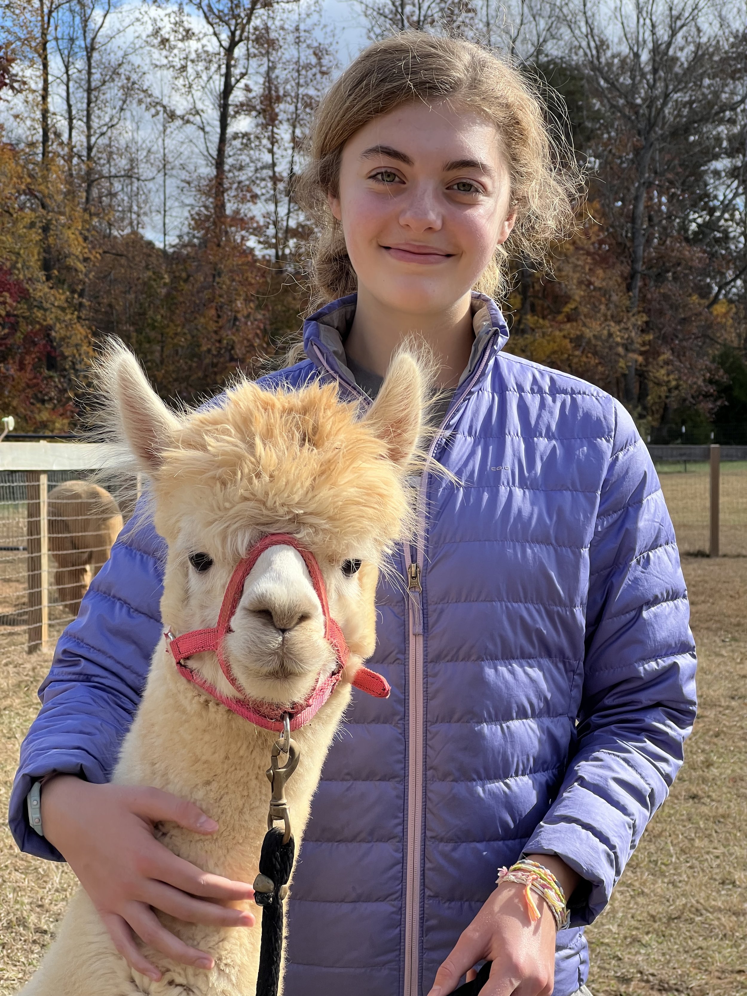 Farm Visit — Meadowgate® Alpacas