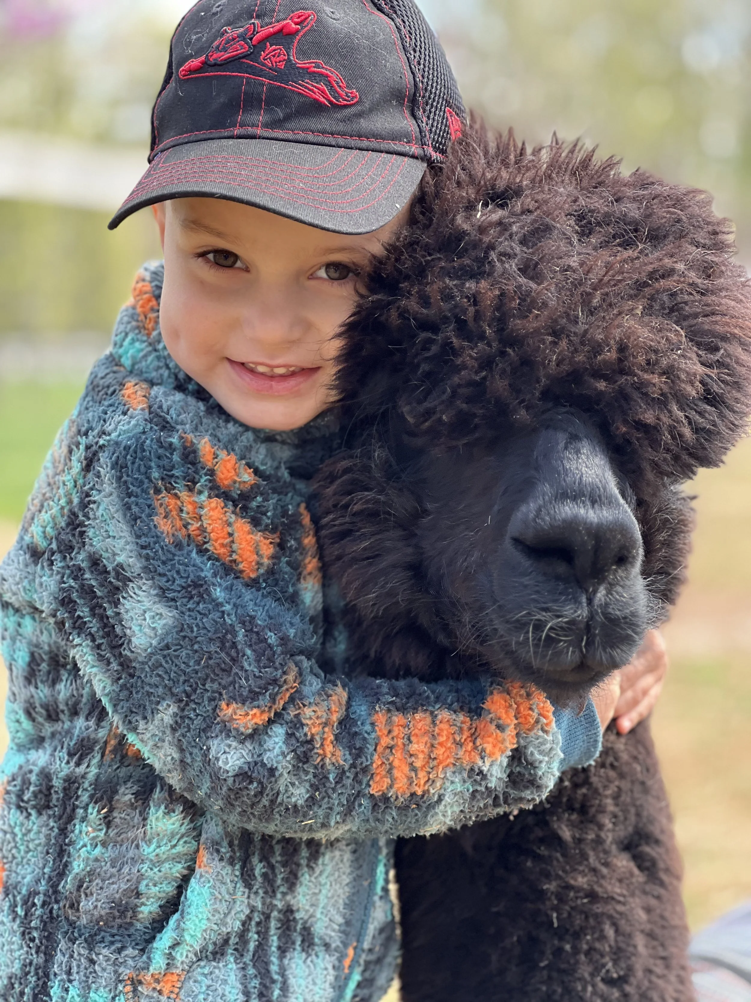 Farm Visit — Meadowgate® Alpacas