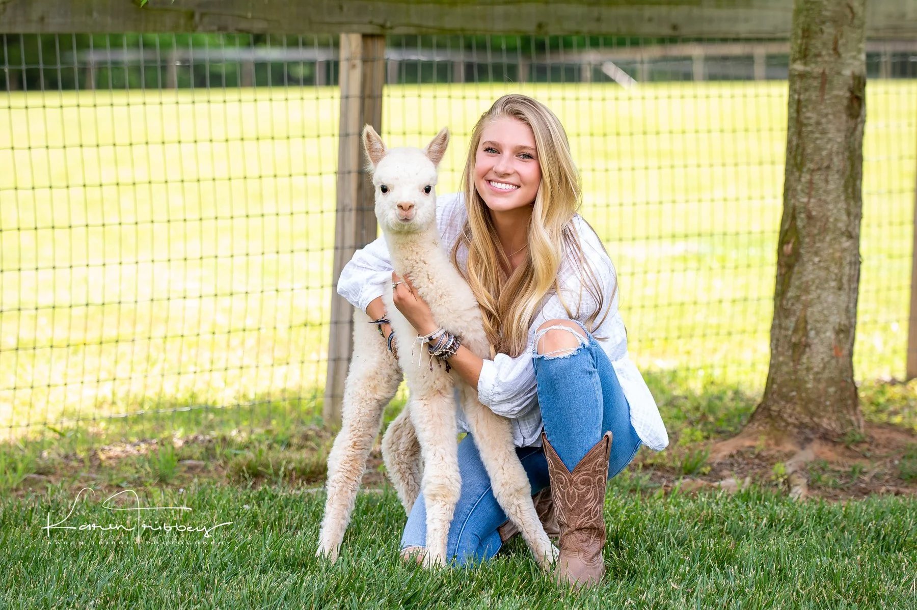 Photography Sessions — Meadowgate™ Alpacas