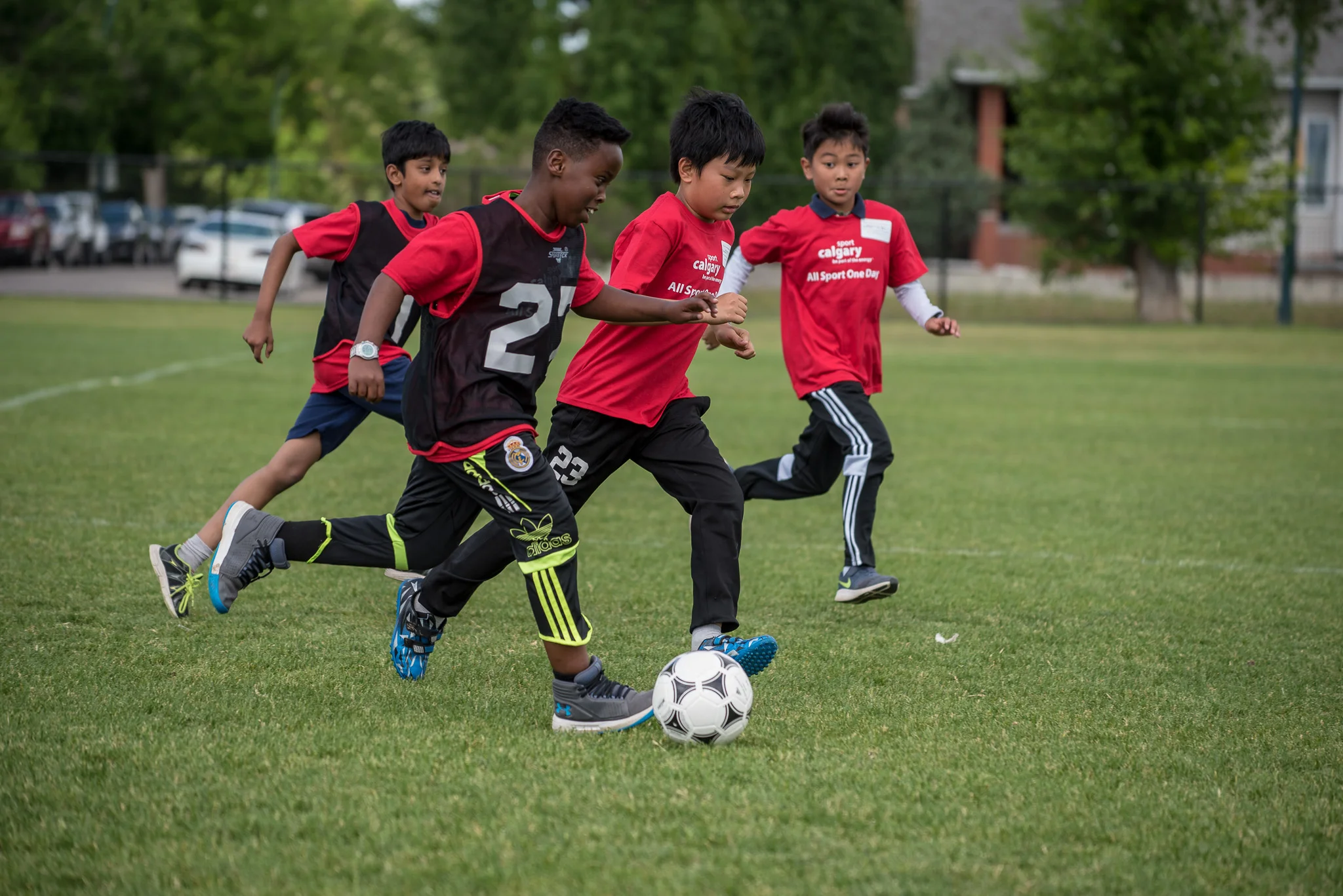 All Sport One Day | Sport Calgary