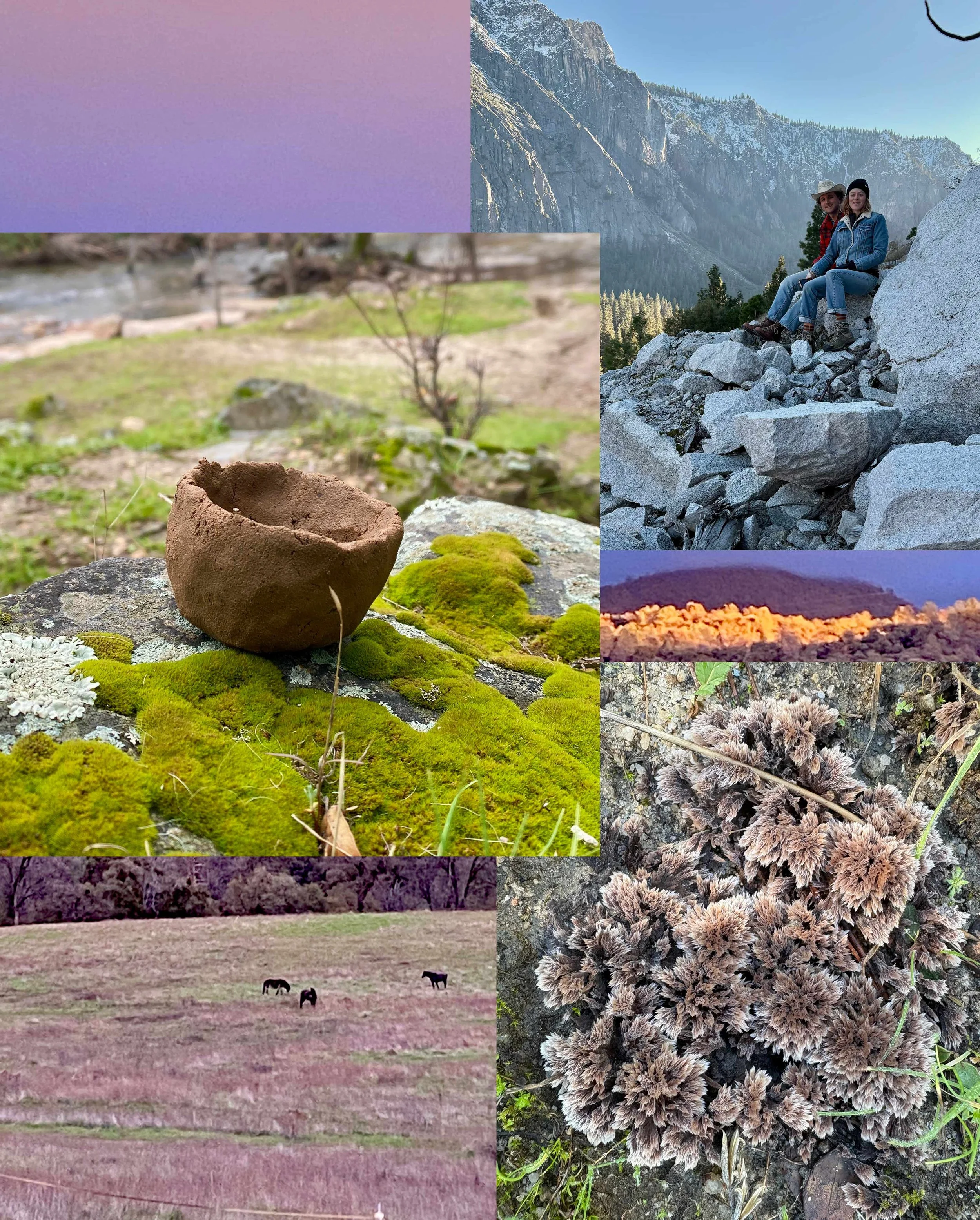 It’s 2026! — Rex Design