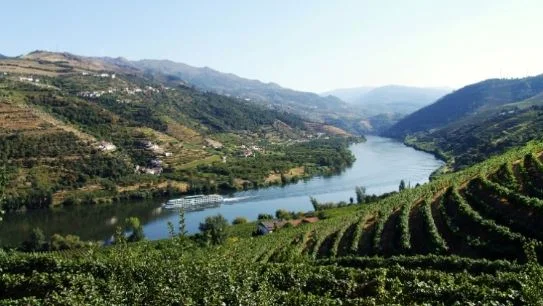 Romariz — ADVINTAGE DISTRIBUTING