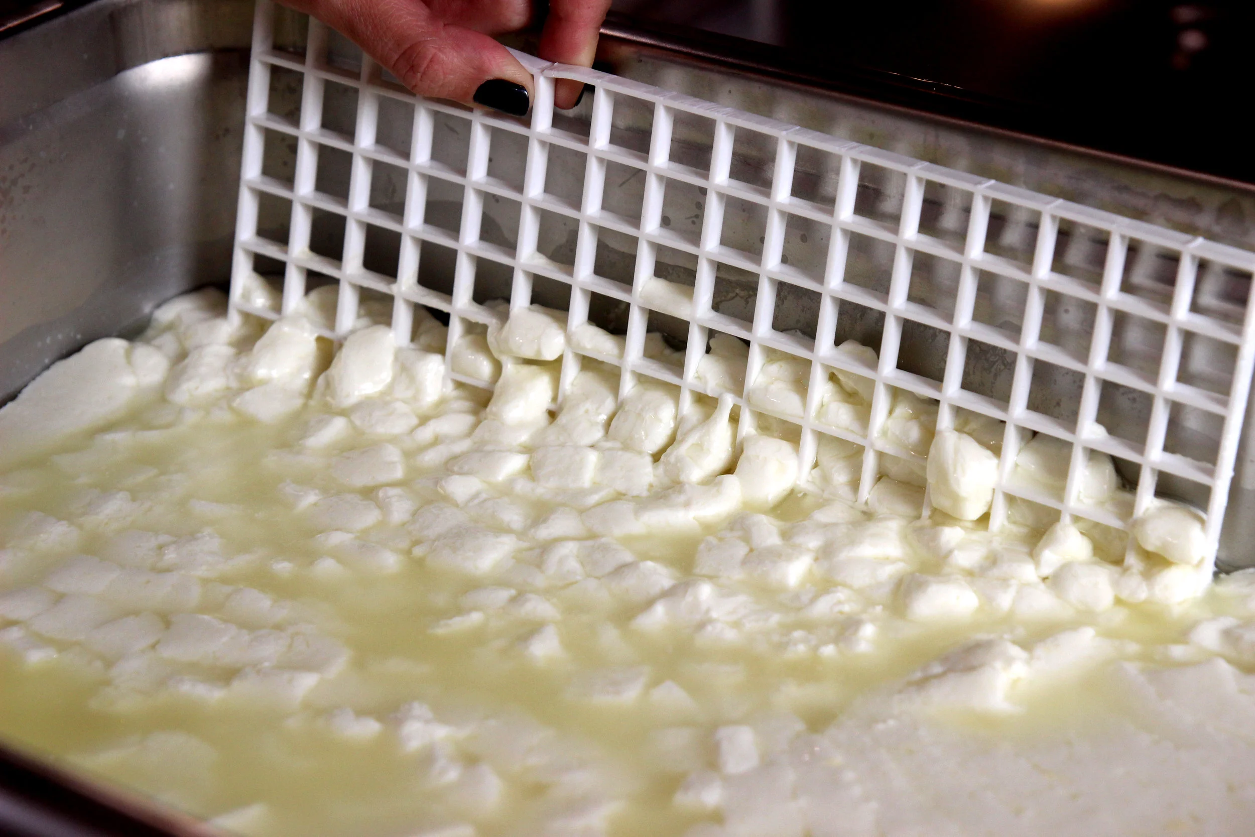 How to Make Mozzarella Cheese — Anne Marie