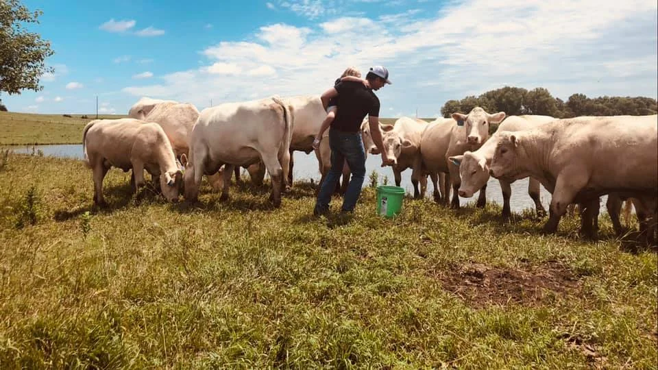 Family Farm Beef Box