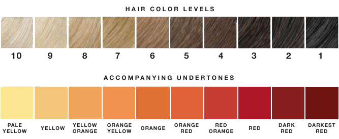 SALON FAQ — The Glossary Salon