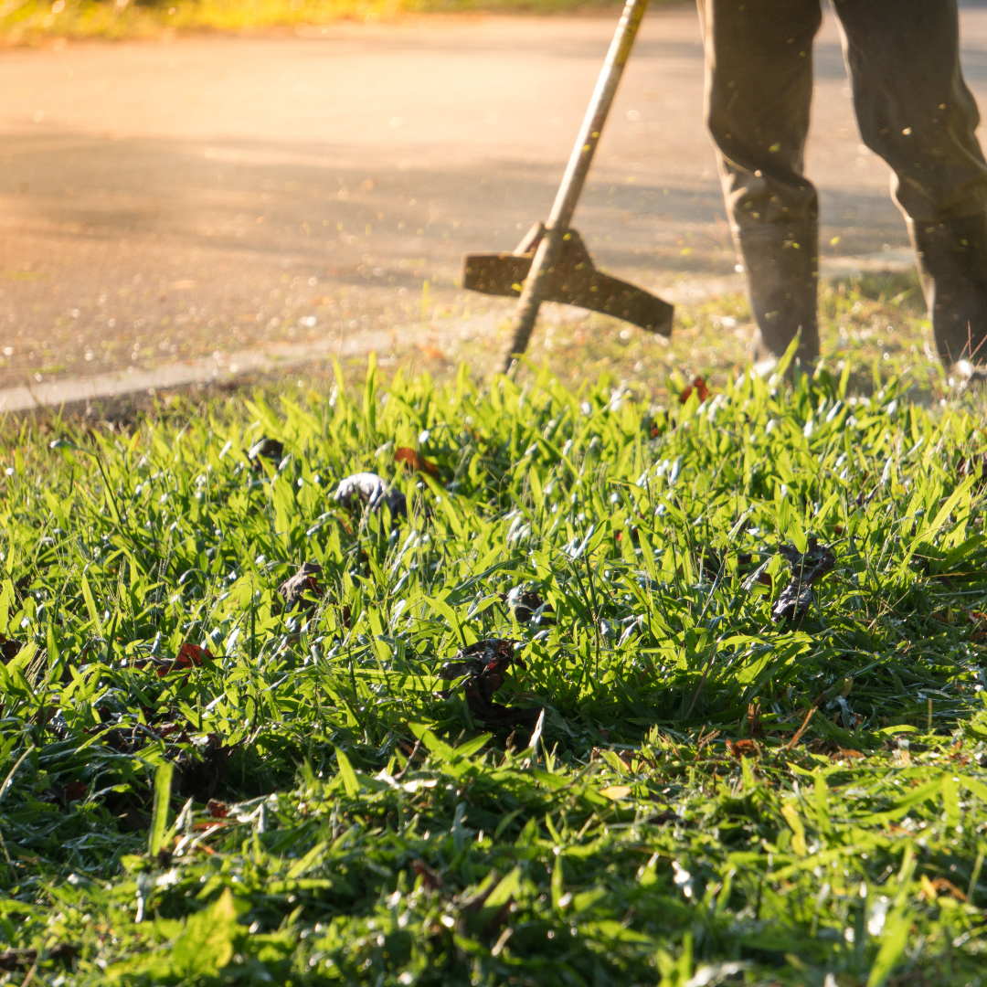 Grounded Lawn — Residential
