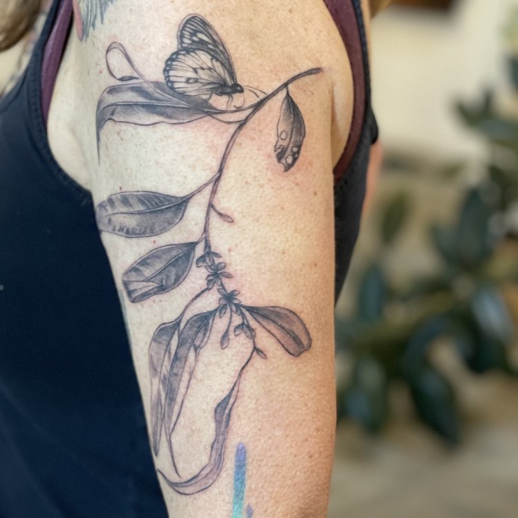 Tattoo Portfolio — Allegra Noelle