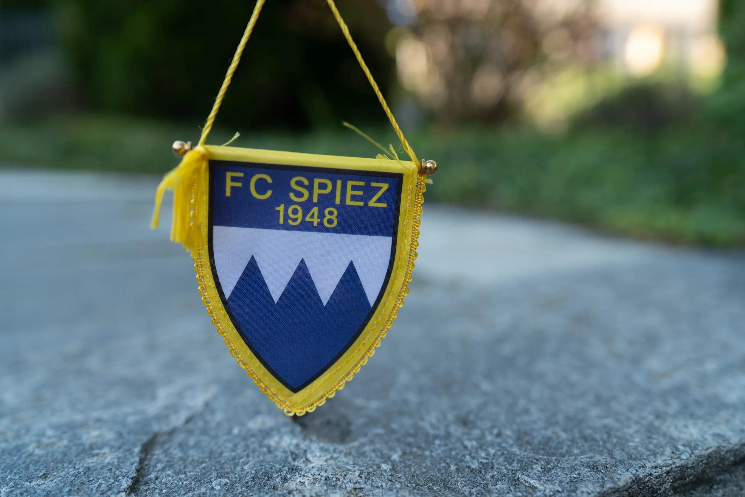 Fan - Shop — FC Spiez