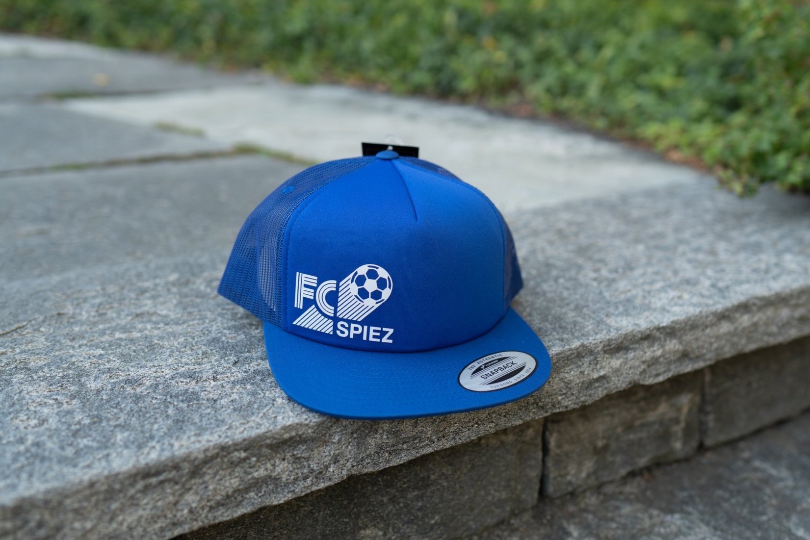Fan - Shop — FC Spiez