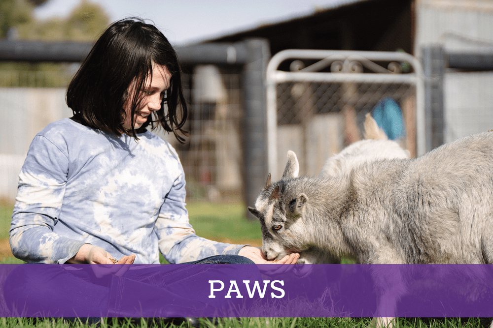 Services — FLASH FARM