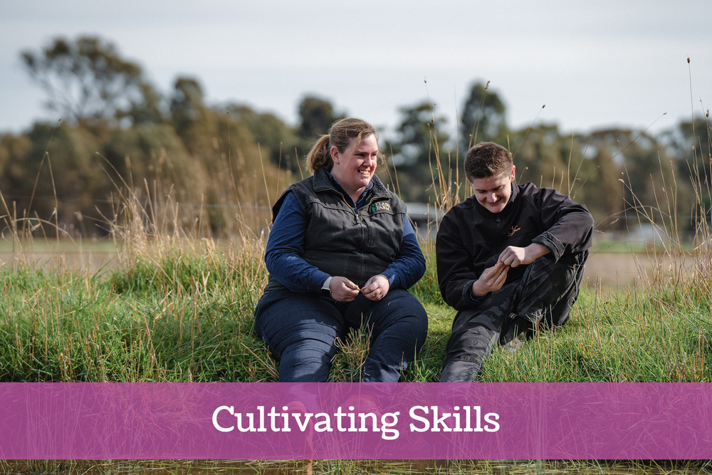 Services — FLASH FARM