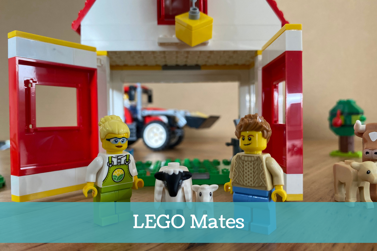 Services — FLASH FARM