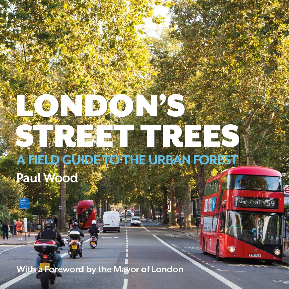 London’s Street Trees — Safe Haven Books