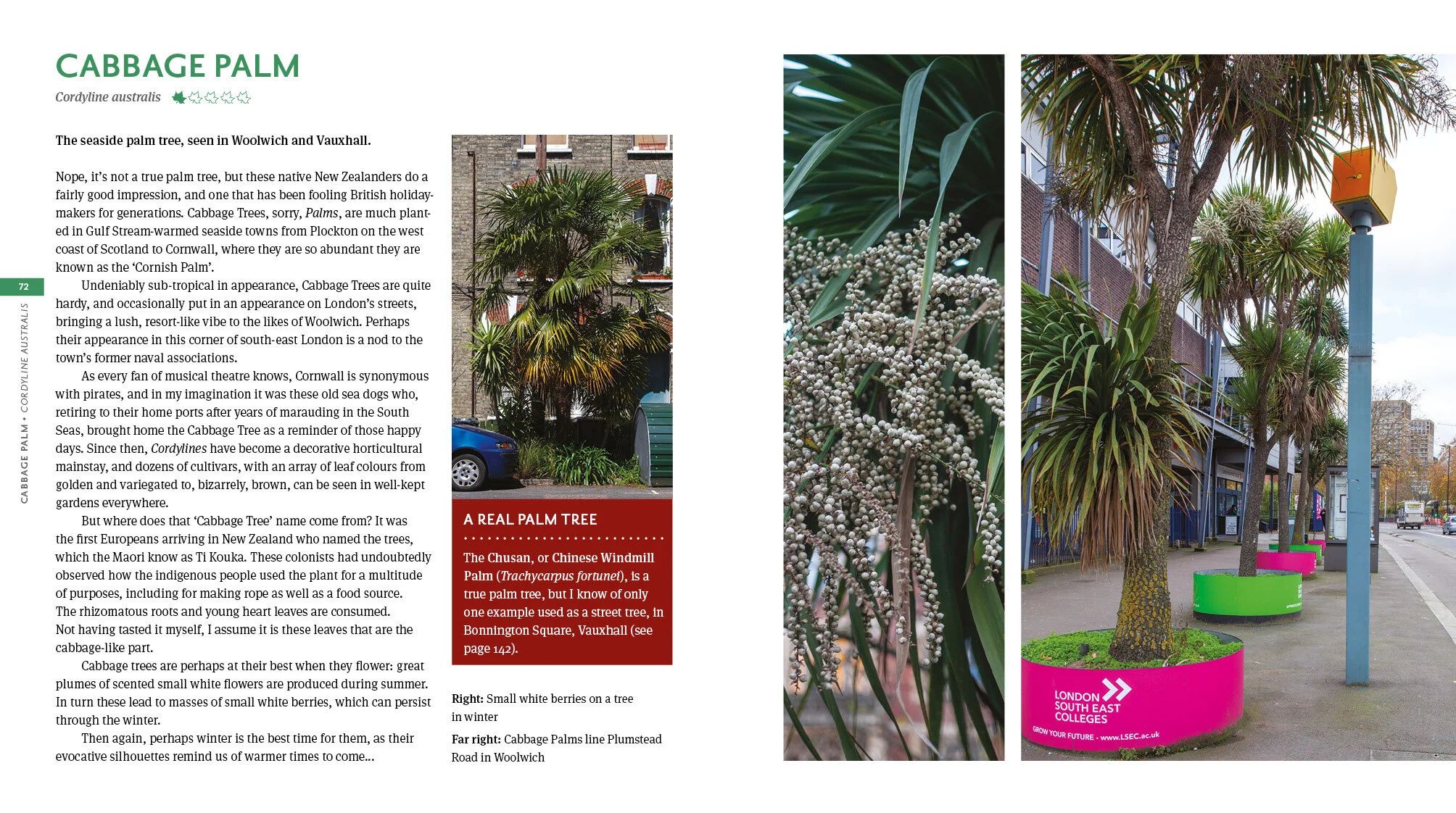 London’s Street Trees: New Edition — Safe Haven Books