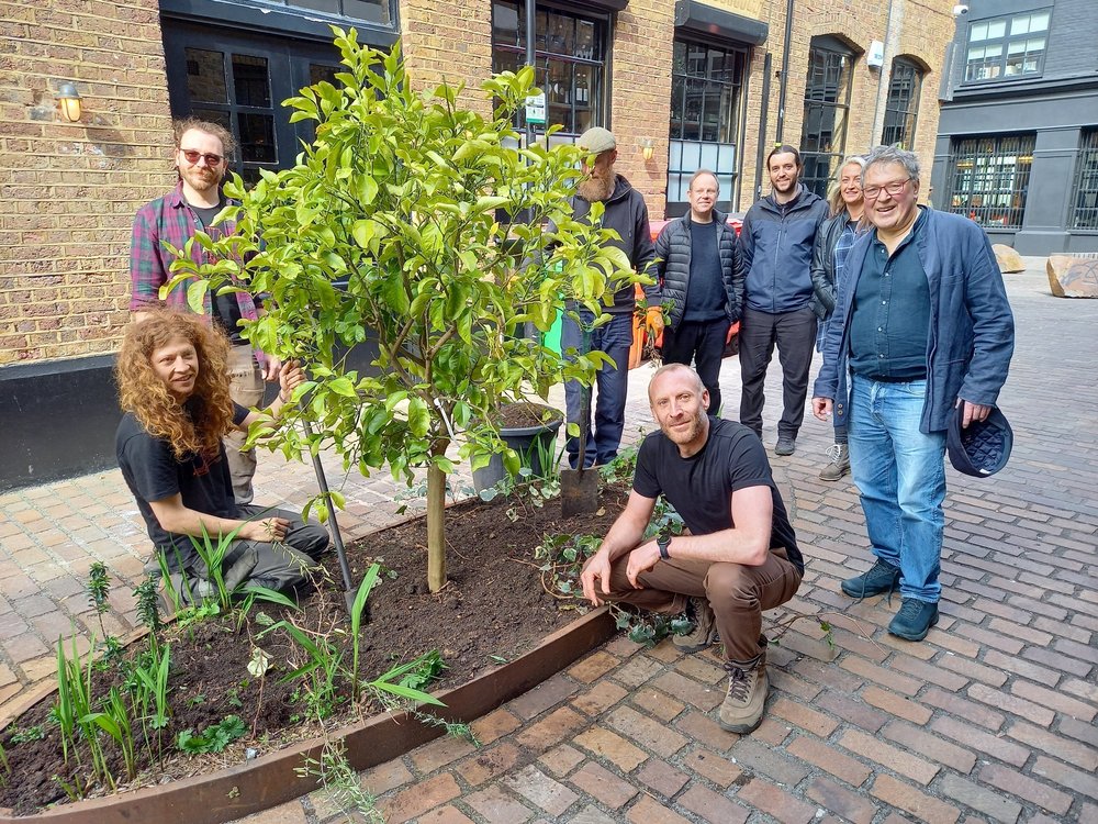 Safe Haven and Hackney Council plant the first lemon tree in a London ...