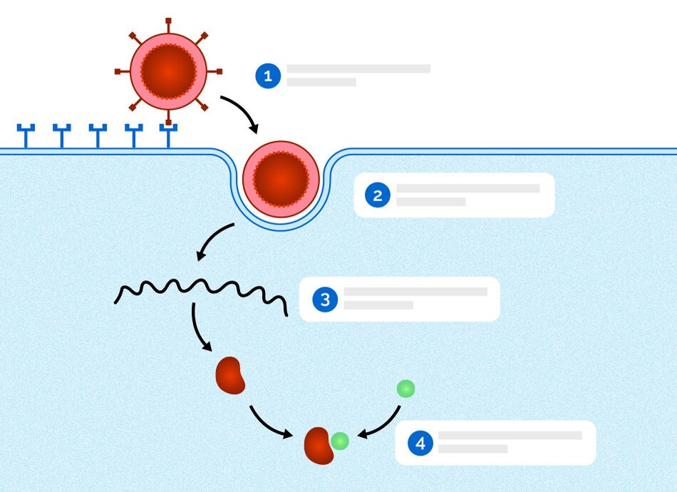 Figures and Illustrations (Continued) — Science Journal Editors (SJE)